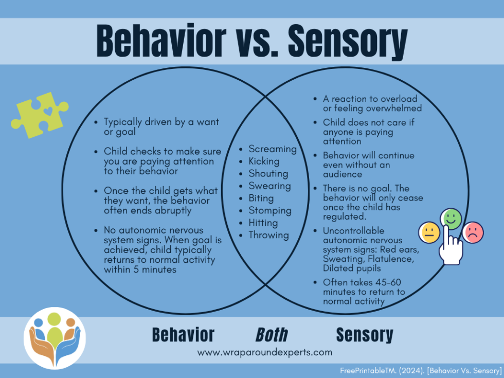 Sensory Behavior